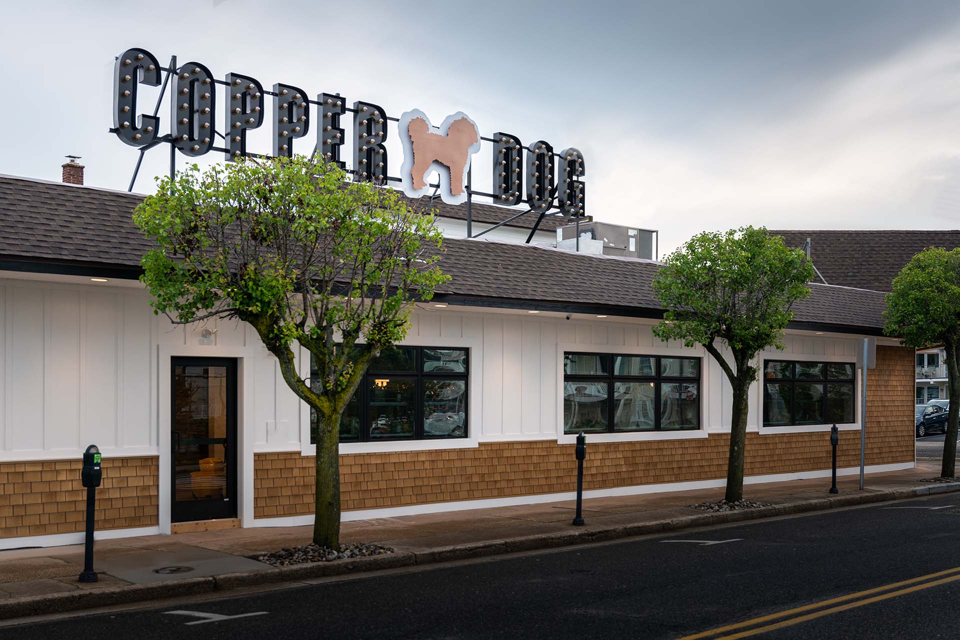 Homepage - CopperDog